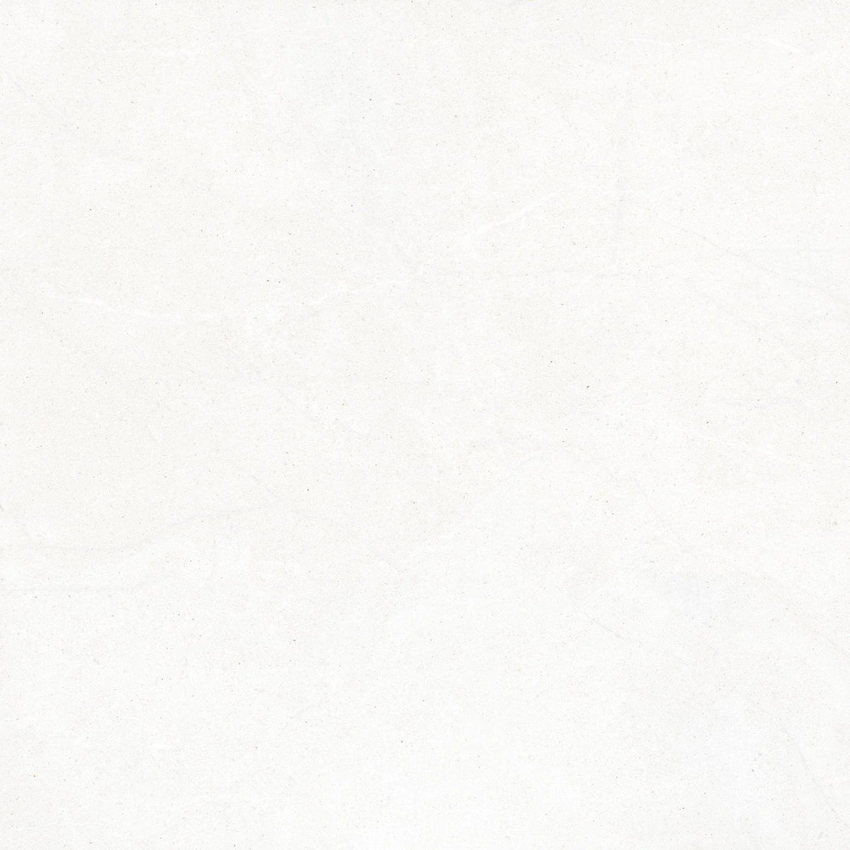 Lime Evolution Ice 24x48 Matte Decoro Porcelain Tile — Solidshape