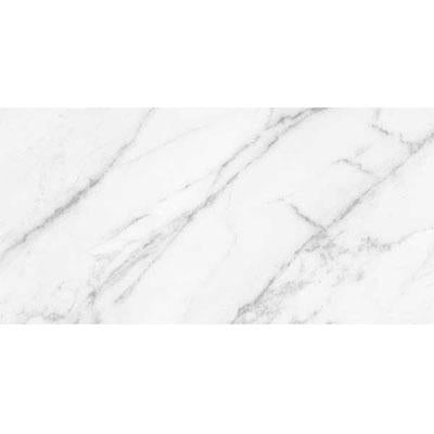 Statuary White Unpolished 12x24 Porcelain Tile — Solidshape