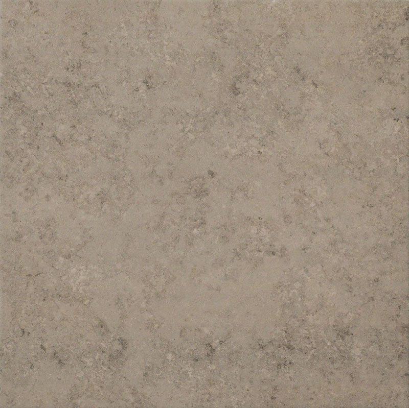 Trace Fossil Grey 18x18 Porcelain Tile — Solidshape